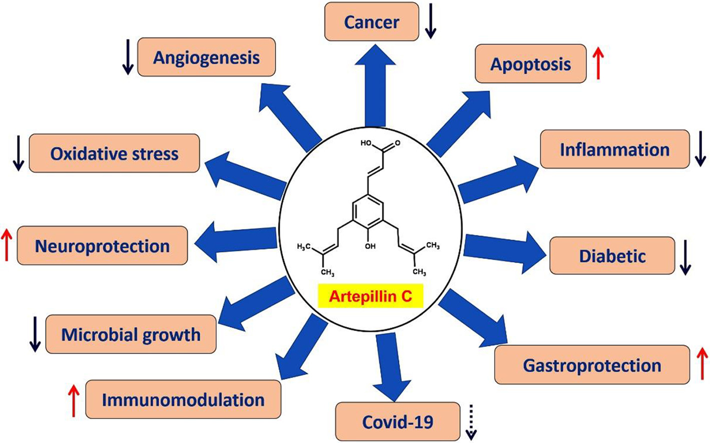 Produk – TMT Network
